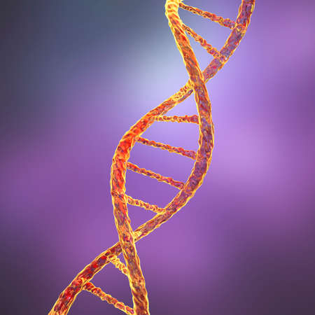 Molecule of DNA, double helix, 3D illustration. Gene therapy, genetic ...