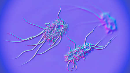 Photo of Escherichia coli bacteria, 3D - ID:1-178188410 - Royalty Free ...
