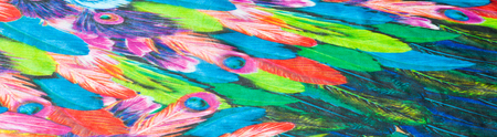 texture of silk fabric. background. colorful fairy feathers bird ...