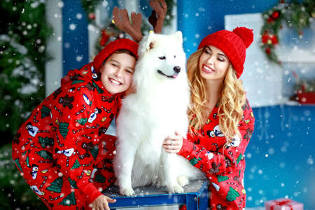 Family with a merry Christmas mood and a pet in Christmas costumes ...