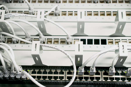 Network cables in network server and connections on switch - Stock ...