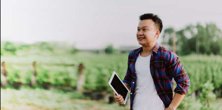 asian farmer using tablet computer in wheat crop field, concept of ...
