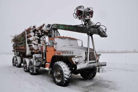 Short log truck, Siberian timber truck, loading logs in the forest ...