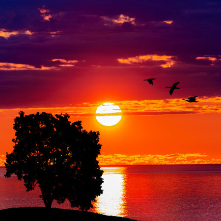 Sunset Beautiful Scenery Wallpapers