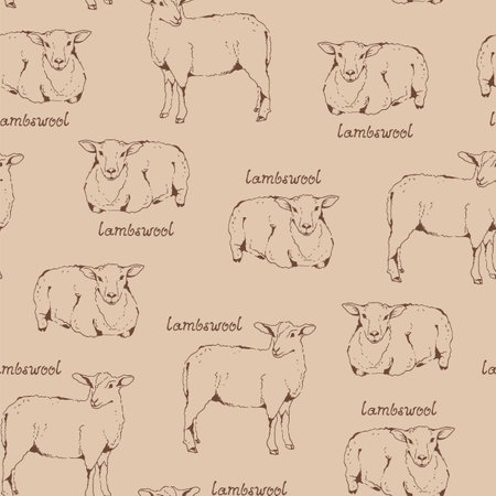 Vector illustration with hand drawn sheep on a farm, seamless pattern ...