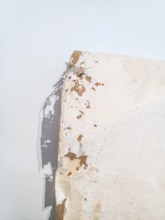 Paper swallowed with silverfish. Traces of wrecking silverfish on vinyl ...