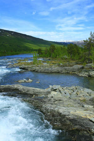 The raging river in mountain district,trees near by the riverの写真素材 ...
