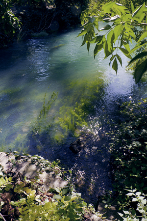 Trieste, Italy - Timavo springs. Timavo river flows mostly subsoil and ...
