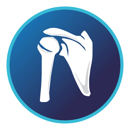Vector of Shoulder bone icon. Vector - ID:1-123543604 - Royalty Free ...