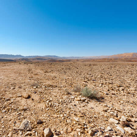Rocky hills of the Negev Desert in Israel. Breathtaking landscape of ...