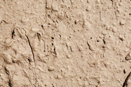 Wet mud texture, closeup shot, abstract background - Stock Image ...