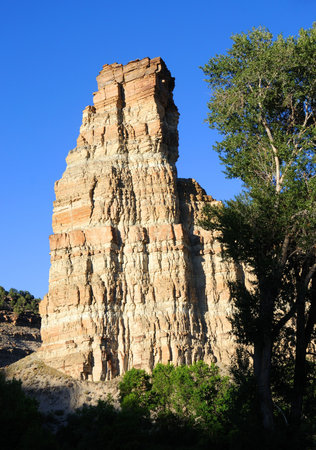 Strawberry Pinnacles Illuminated by Evening Sunの写真素材 [40007626385 ...