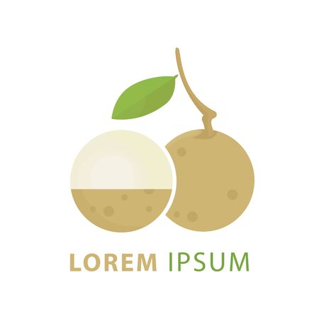 Vector of fresh logo vector of longan - ID:1-147434545 - Royalty Free ...