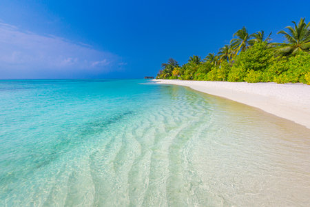 Tranquil beach wallpaper. Sunny exotic tropical coast landscape. Design of summer vacation holiday. Luxury travel destination idyllic nature palm