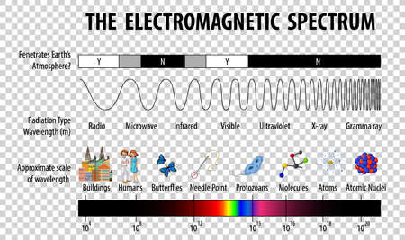 Vector of Science Electromagnetic - ID:1-163187476 - Royalty Free Image ...