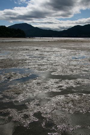 Mud Flats at Low Tide - Miyajima, Japanの写真素材 [40003557108] - イメージマート