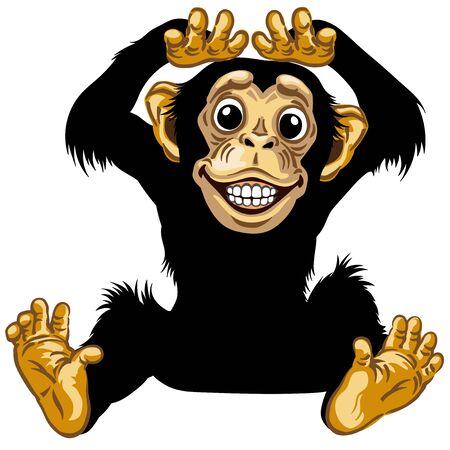 Vector of cartoon chimp ape or - ID:1-127447558 - Royalty Free Image ...