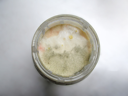 Photo of Three kinds of mold on milk in - ID:1-82560767 - Royalty Free ...