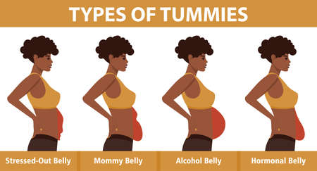 Vector of Four types of Tummies for - ID:1-167806817 - Royalty Free ...