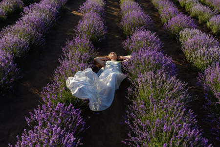 A young woman is lying in the lavender field, enjoying the beautiful ...