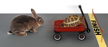 turtle winning the race against a rabbit in a red wagonの写真素材 ...