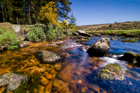 Season devon Images - Search Images on Everypixel