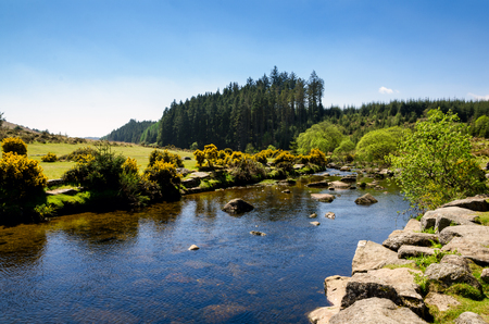 Season devon Images - Search Images on Everypixel