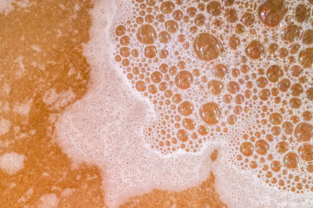 Beer wort starting to boil, Wort for Home Brewer Wheat Beer.の素材 ...