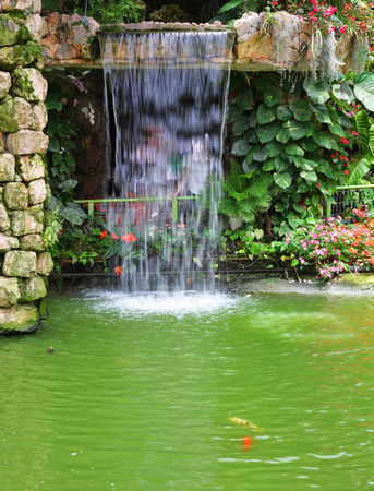 Magnificent decorative waterfalls with gold small fishes in tropical ...