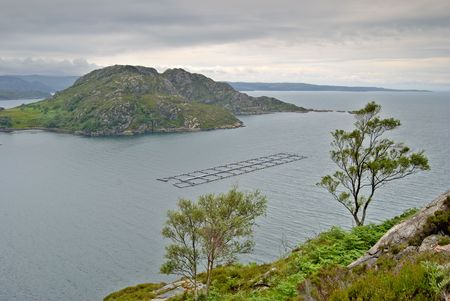 View of Loch Diabaig, Torridon, NW Scotland with a rocky shore and ...