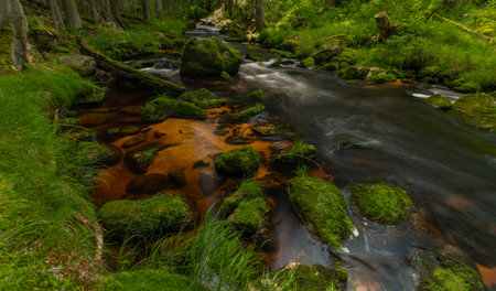 Color summer Studena Vltava river near Stozec village in national park ...