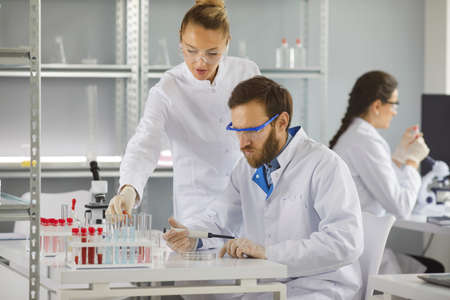 Group of serious scientists working in laboratory. Young pharma ...