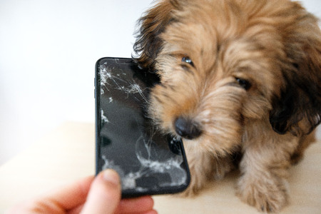 Broken and damaged smartphone with cracks on glass screen next to ...