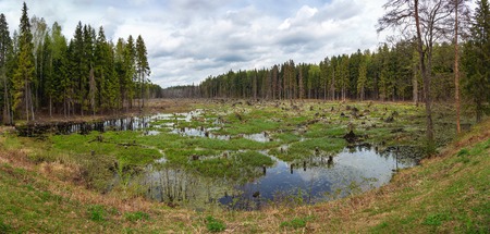 Photo of Panorama. The state of the - ID:1-122492468 - Royalty Free ...
