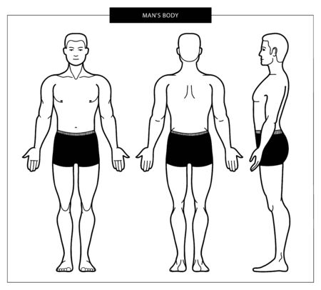 Vector of Human Anatomy Illustration Use - ID:1-136683882 - Royalty ...