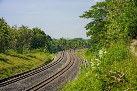 2-way train track with left and right views of dense forest during the ...