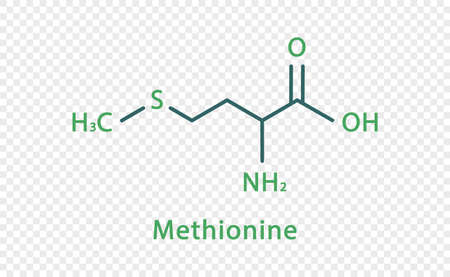 Vector of Methionine chemical formula. - ID:179570800 - Royalty Free ...
