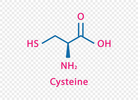 Vector of Cysteine chemical formula. - ID:180812553 - Royalty Free ...