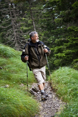 active handsome senior man nordic walking outdoors on a forest path ...