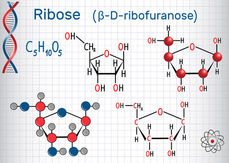 Vector of Ribose structural chemical - ID:1-96958845 - Royalty Free ...