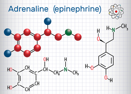 Vector of Adrenaline (epinephrine) - ID:99995055 - Royalty Free Image ...