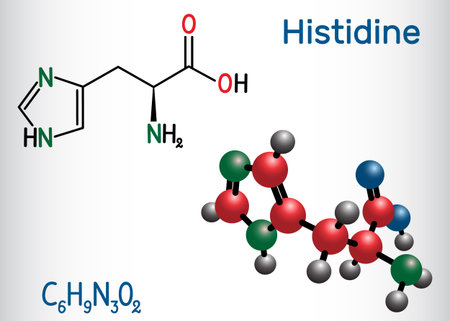 Vector of Histidine L- histidine , His, - ID:1-124098296 - Royalty Free ...