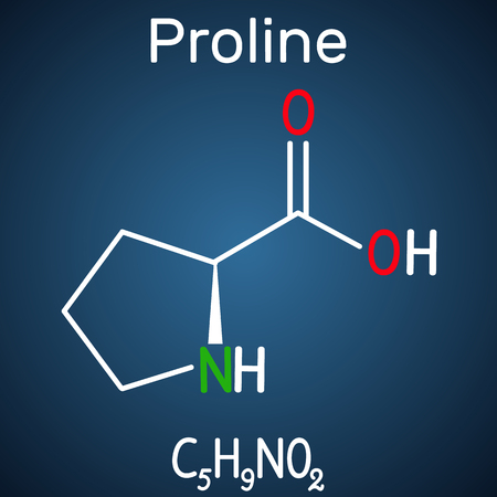 Structure Of Proline