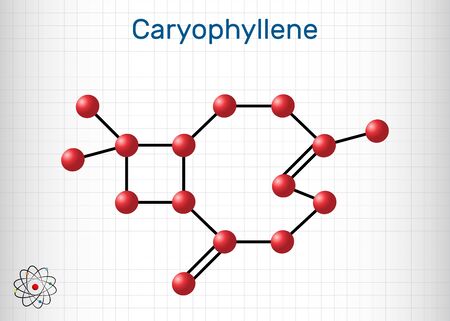 Vector of Caryophyllene, - ID:143801192 - Royalty Free Image - Stocklib