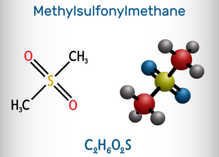 Vector of Methylsulfonylmethane, MSM, - ID:1-163115369 - Royalty Free ...