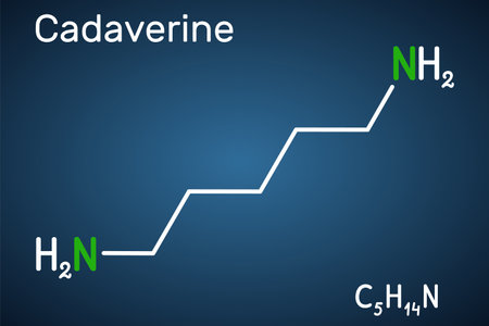 Vecteur de Cadaverine, - ID:170616428 - image libre de droit - Stocklib