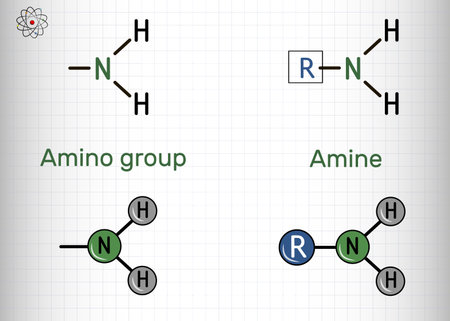 Vector of Amino group (primary, -NH2) - ID:1-171365369 - Royalty Free ...