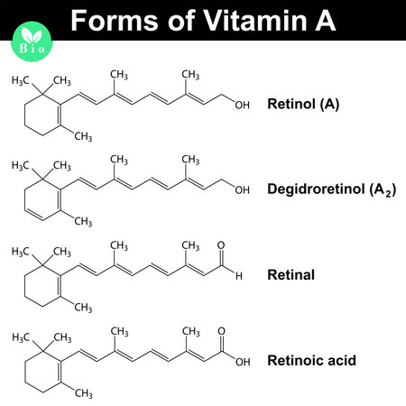 Vector of Forms of vitamin A - retinol, - ID:1-44702747 - Royalty Free ...