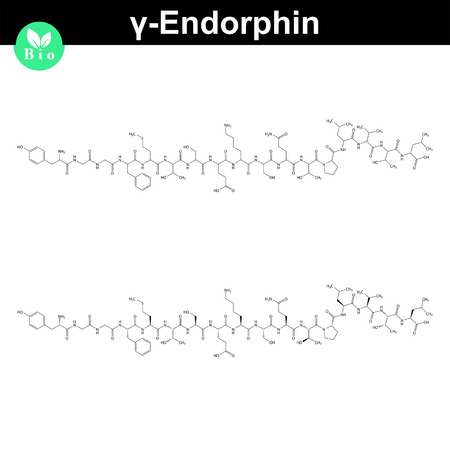 Vector of Gamma endorphin chemical - ID:1-62920442 - Royalty Free Image ...