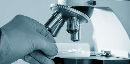 Screening laboratory Images - Search Images on Everypixel